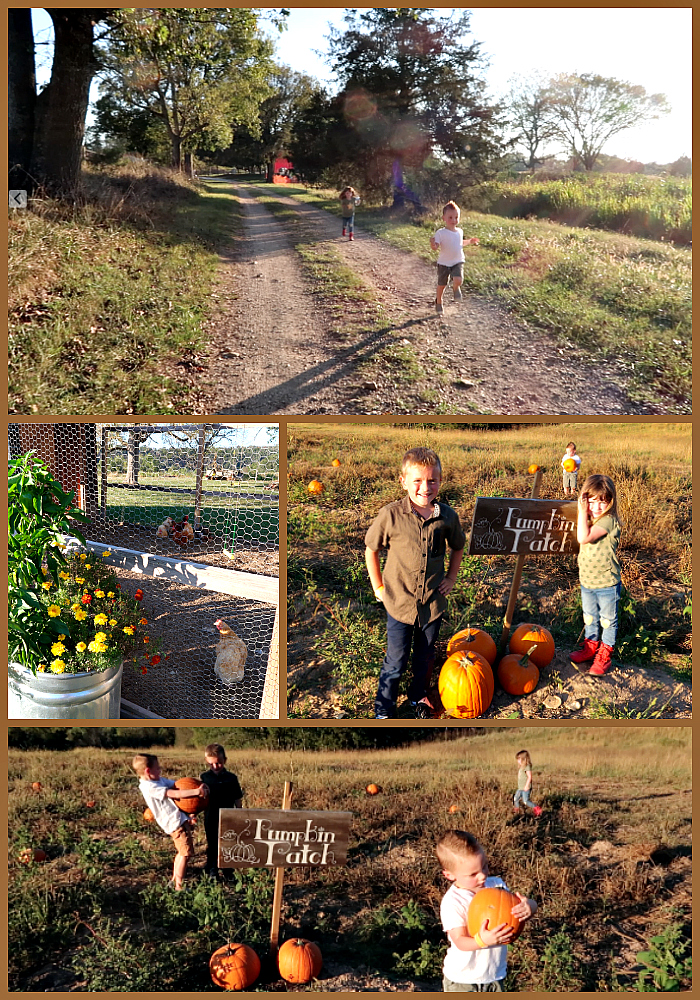 Sugar Pie Farmhouse » Blog Archive » A Round-Up of Fall Fun!!